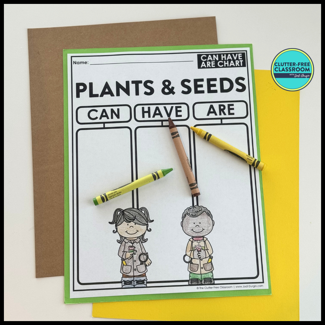 Plants & Seeds Activity Packet – Clutter Free Classroom Store