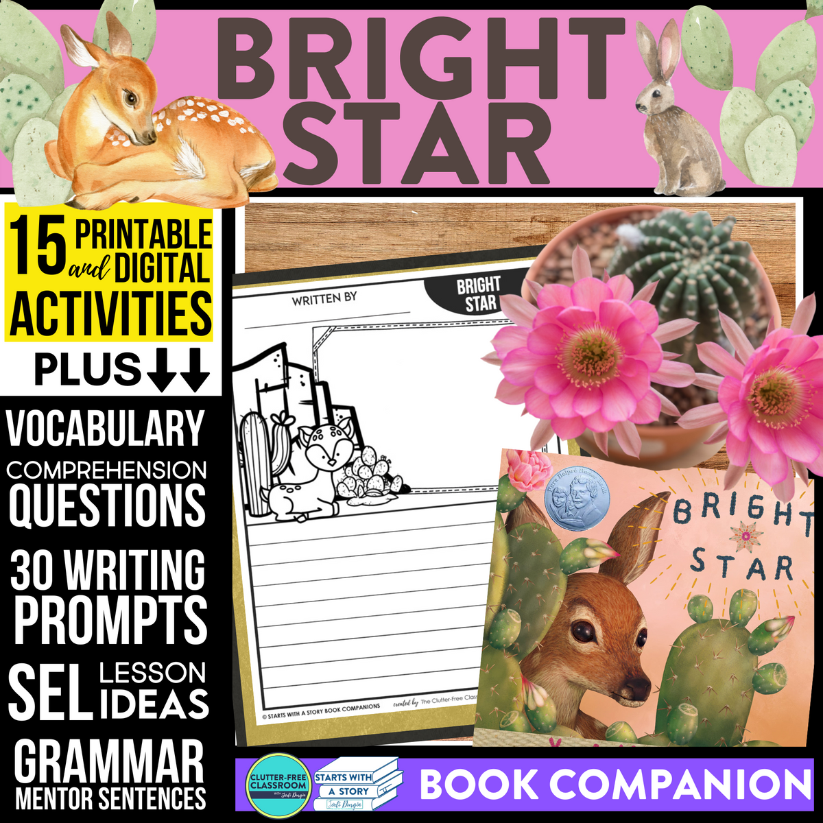 BRIGHT STAR activities and lesson plan ideas – Clutter Free Classroom Store